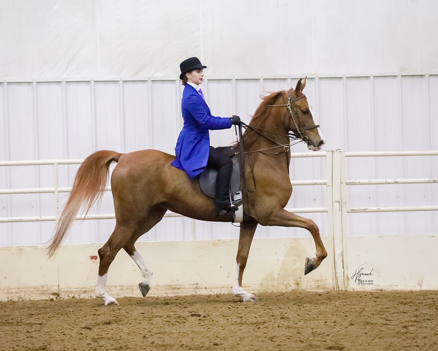 IASA Spring Tune Up Show, April 2024 - FIND YOUR PHOTOS - 2024 Horse ...