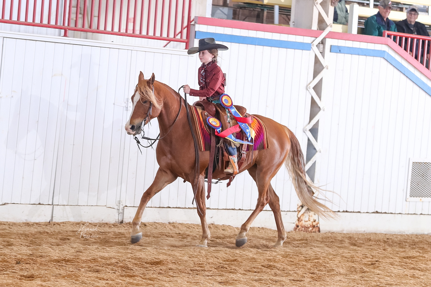 Mo-Kan Border Bonanza 2024 - FIND YOUR PHOTOS - 2024 Horse Shows ...